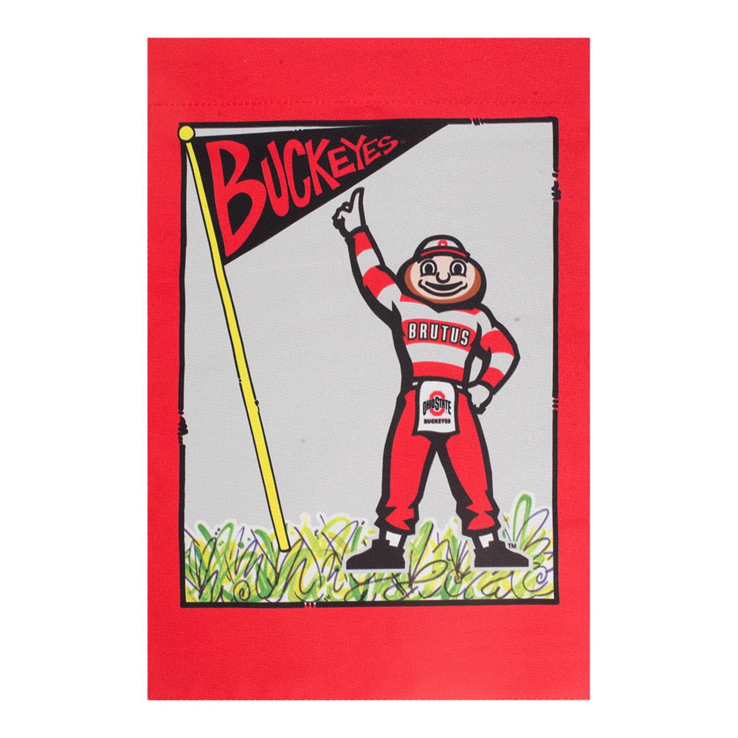 Ohio State Flags | Shop OSU Buckeyes