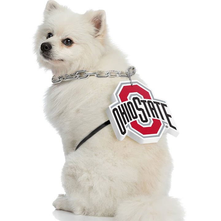 Ohio State Pet Accessories – Shop OSU Buckeyes