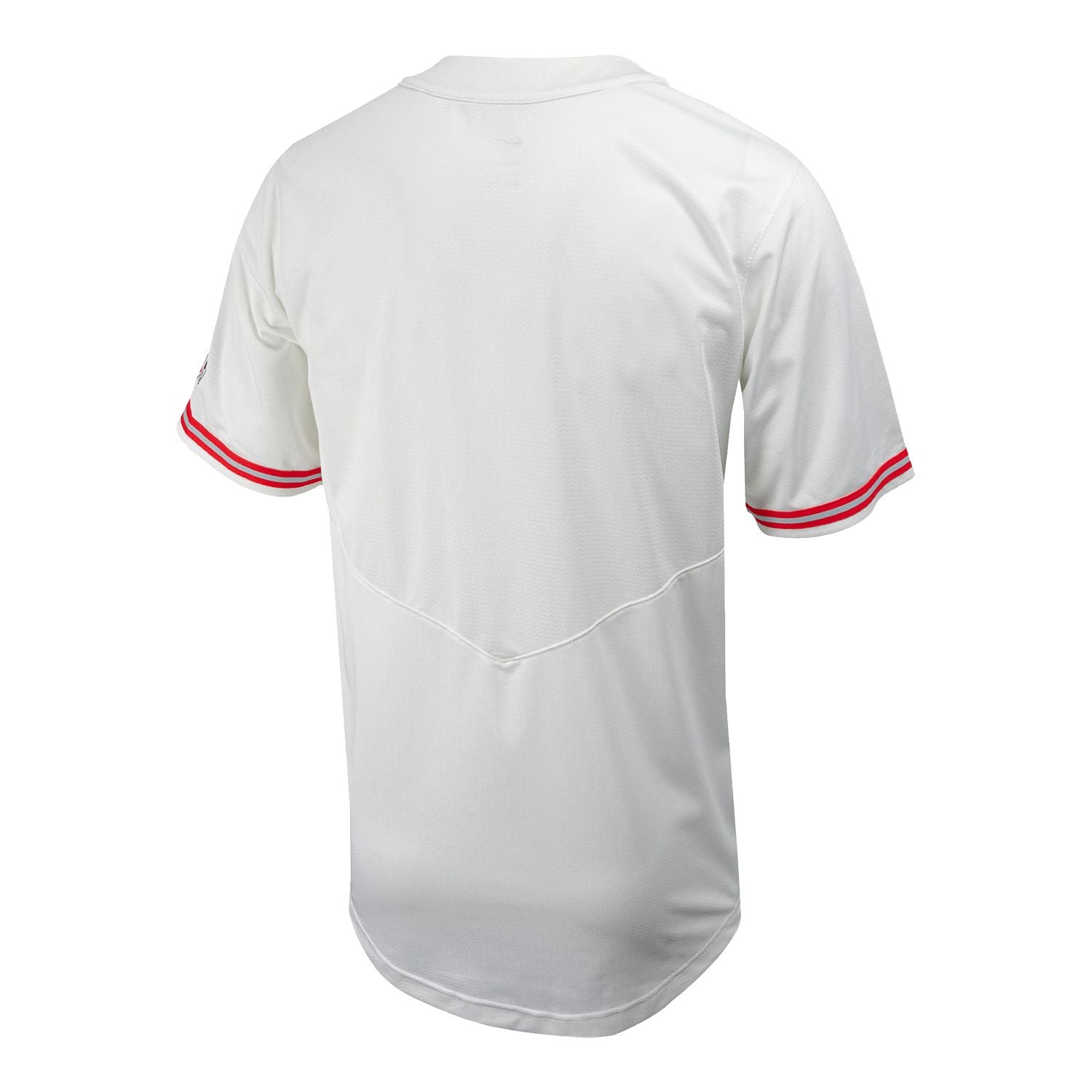 Adult Ohio State Nike Merchandise | Shop OSU Buckeyes